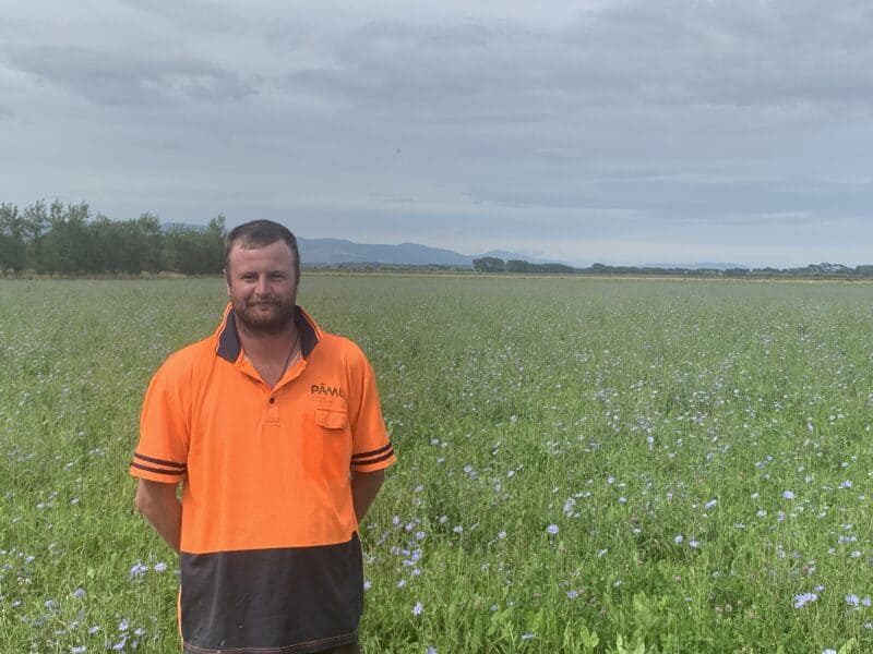 Northland Regional Supreme Winners 2023 Andrew and Vicky Booth of Jade ...