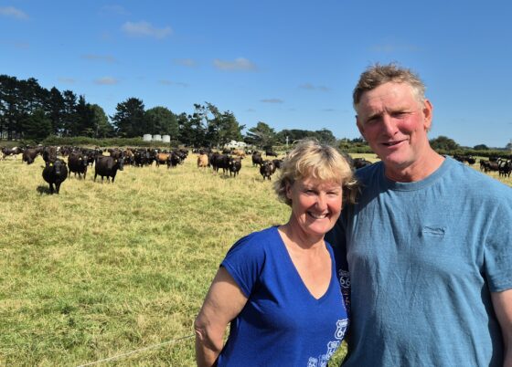 Tor Pedersen of Broomore Farm - New Zealand Farm Environment Trust
