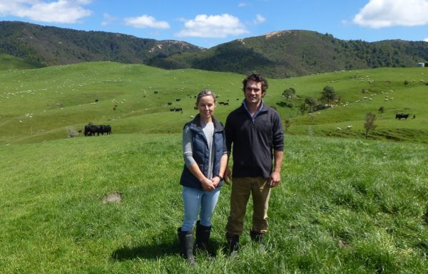 What are they up to now? Mike and Sharon Barton - Taupo Beef and Lamb ...